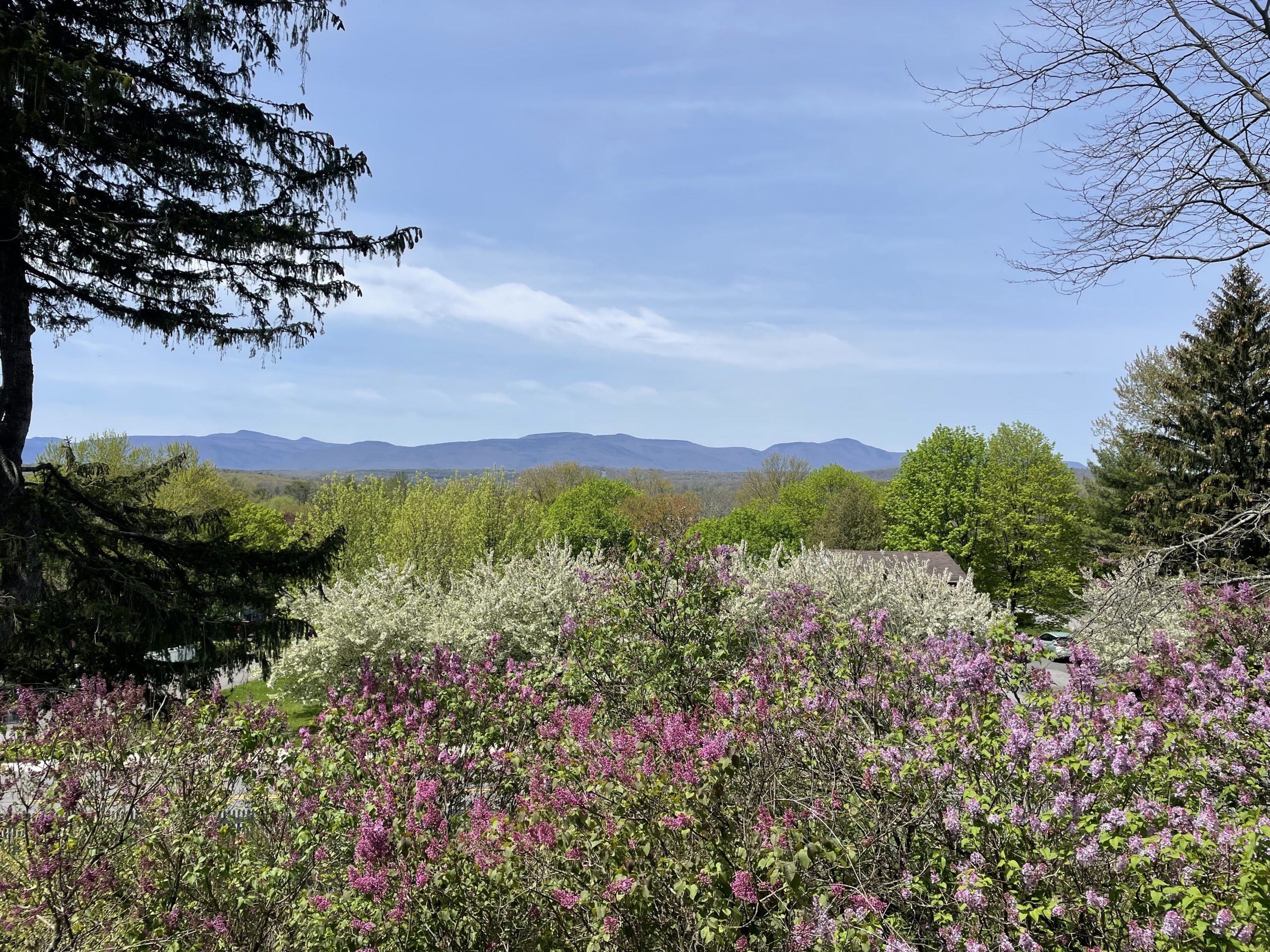 Adopt-A-Plant | Thomas Cole National Historic Site
